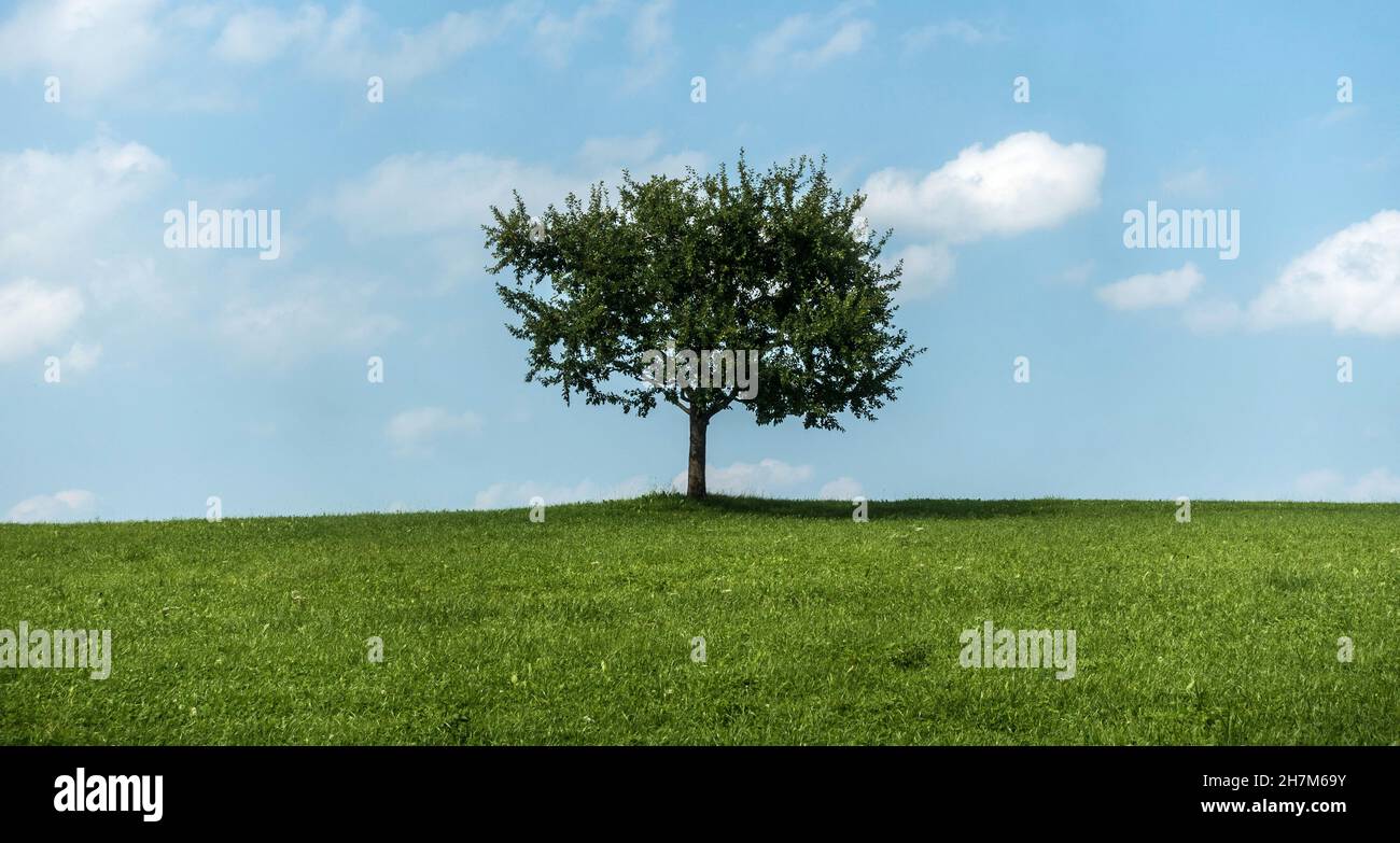Teisendorf hi-res stock photography and images - Alamy