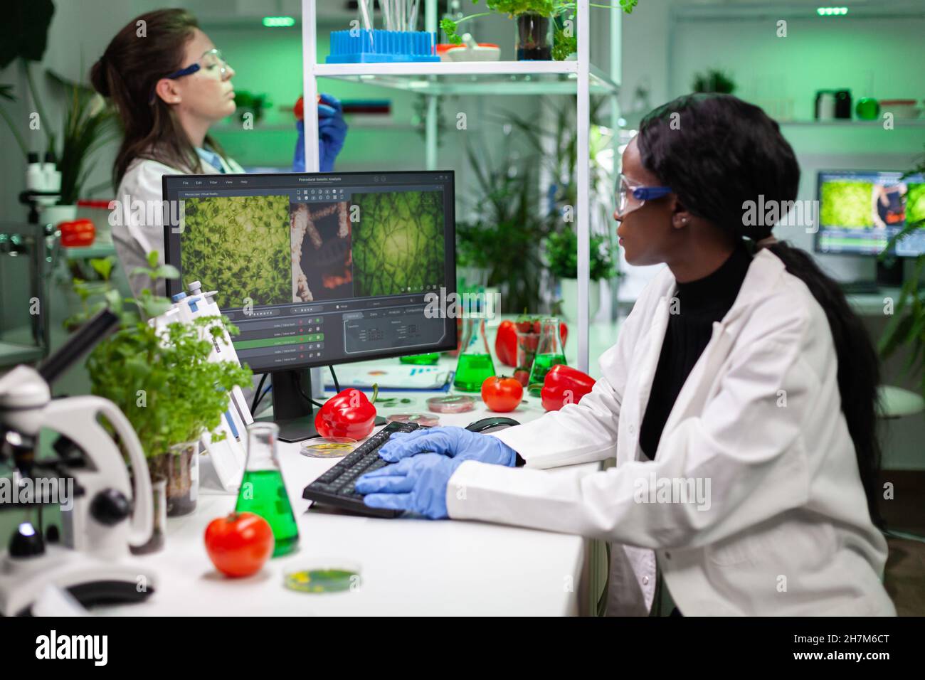 African american chemist researcher typing microbiology expertise on ...