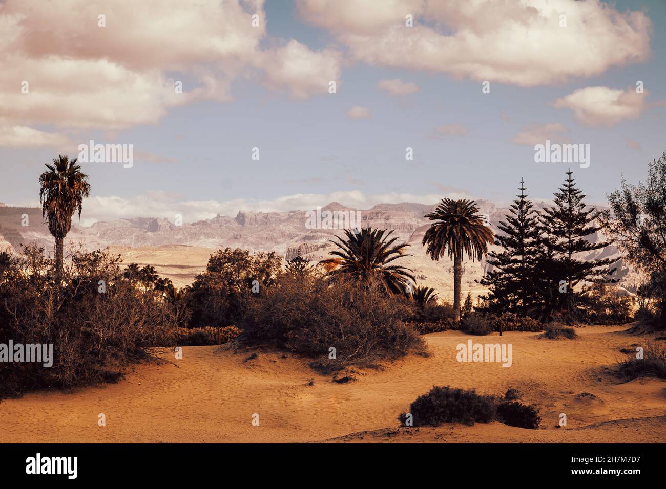 Sandy land with cloudy sky background Stock Photo - Alamy