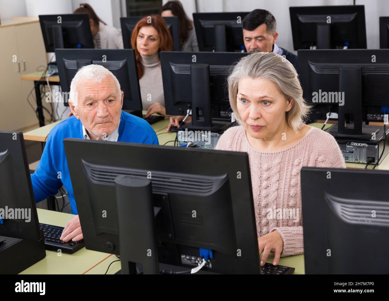 Mature woman and senior man learning to use computer Stock Photo - Alamy