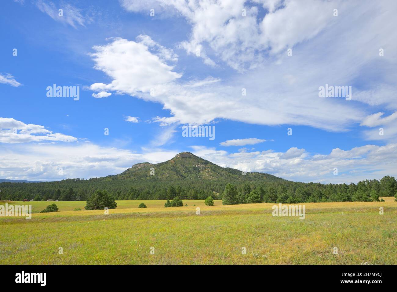 The Spruce Meadows Open Space, Larkspur CO Stock Photo - Alamy