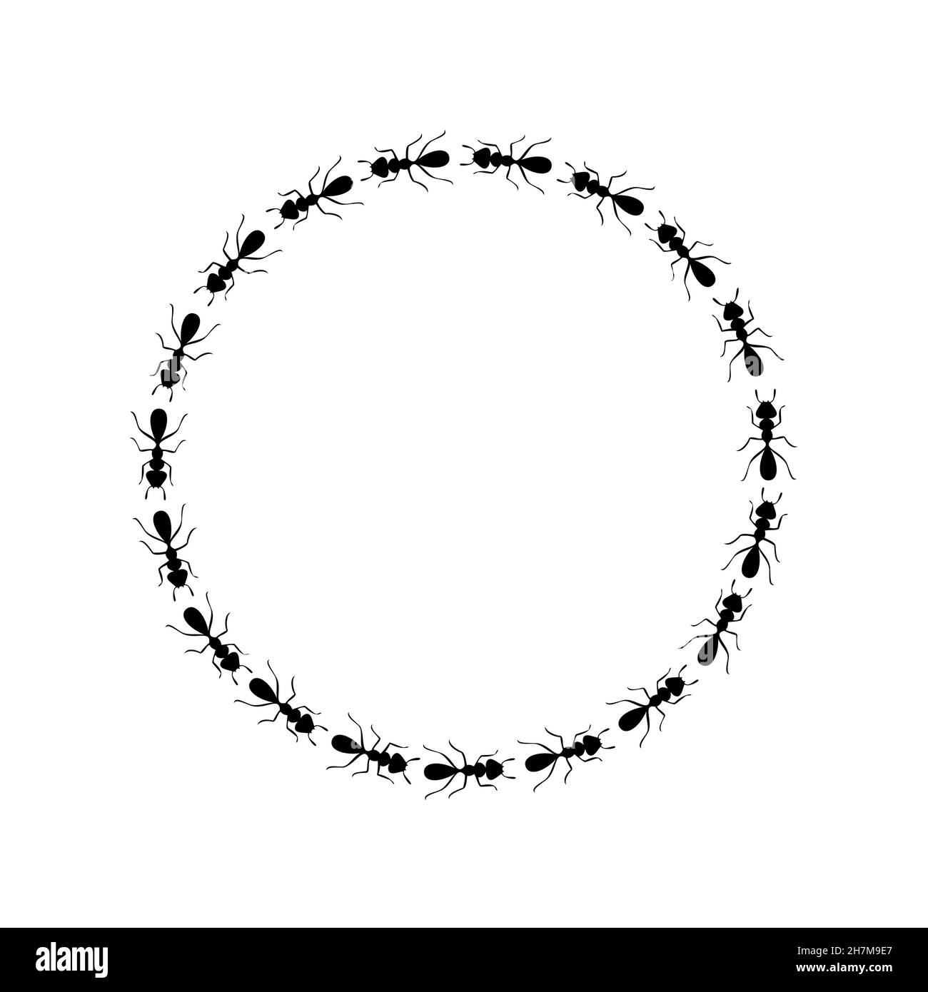 Black ants circle border. Ants forming round shape isolated in white background. Vector ...