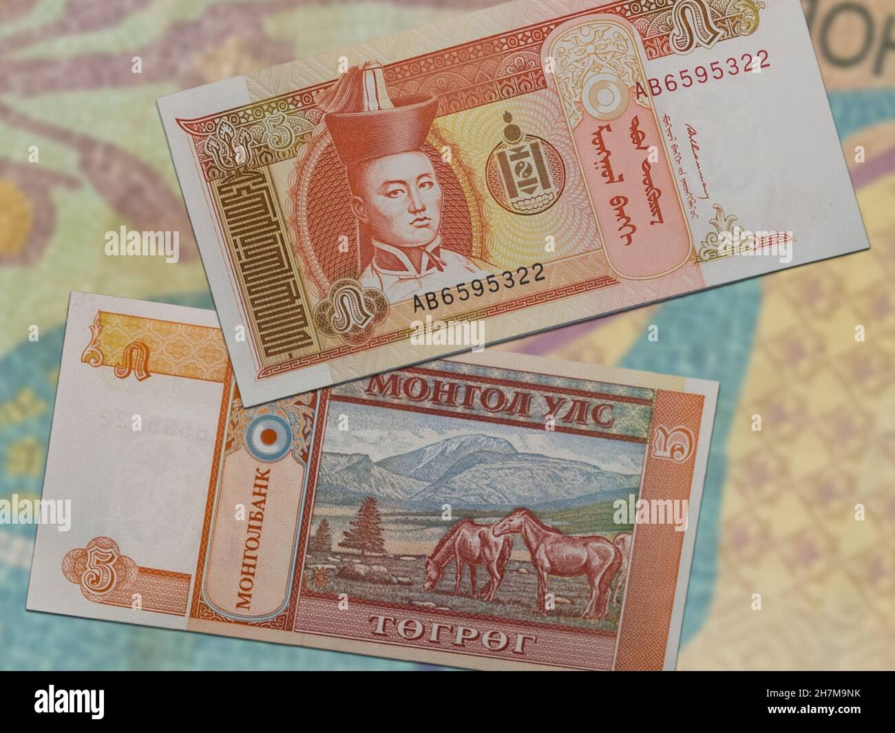 Damdin hi-res stock photography and images - Alamy
