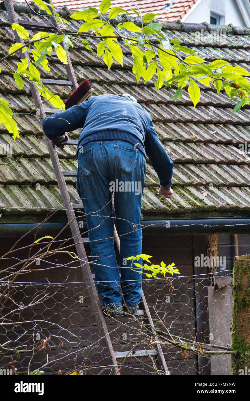 Vertical shot from the back of an old man at work on a wooden ladder ...