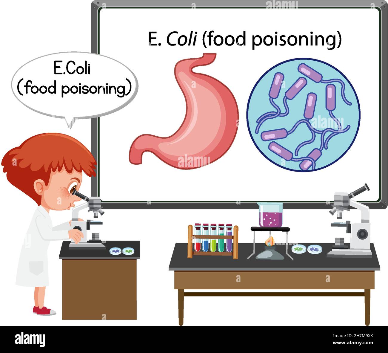 Young doctor explaining food poisoning illustration Stock Vector Image ...