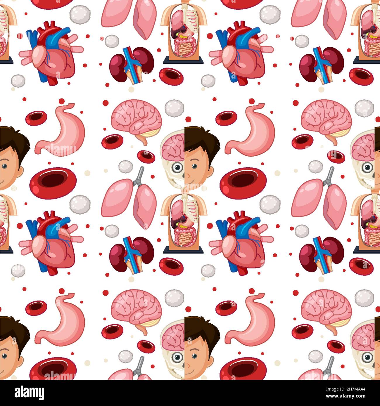 Human body parts anatomy seamless background illustration Stock Vector ...