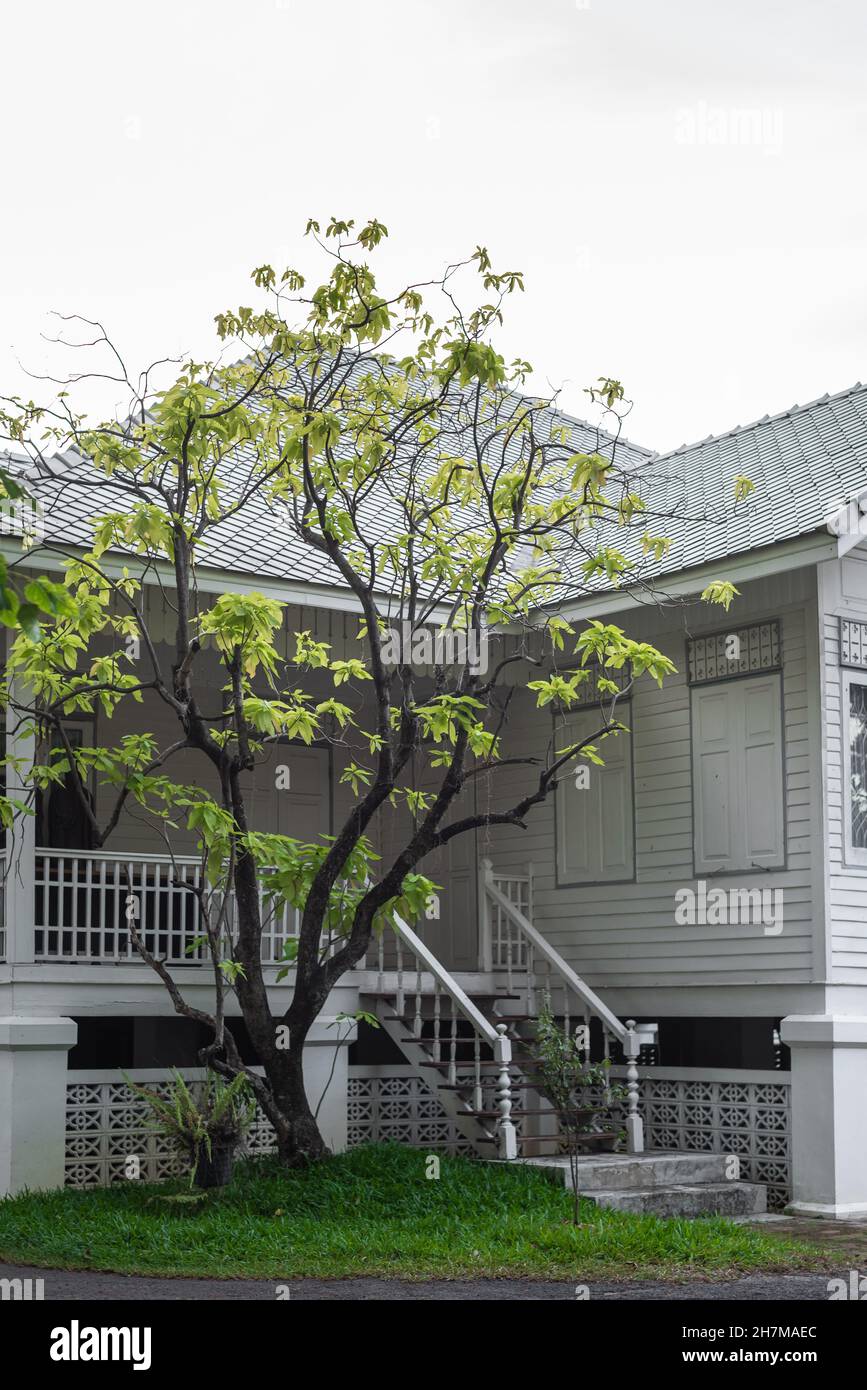 White vintage Asian wooden building with green tree garden Stock Photo ...
