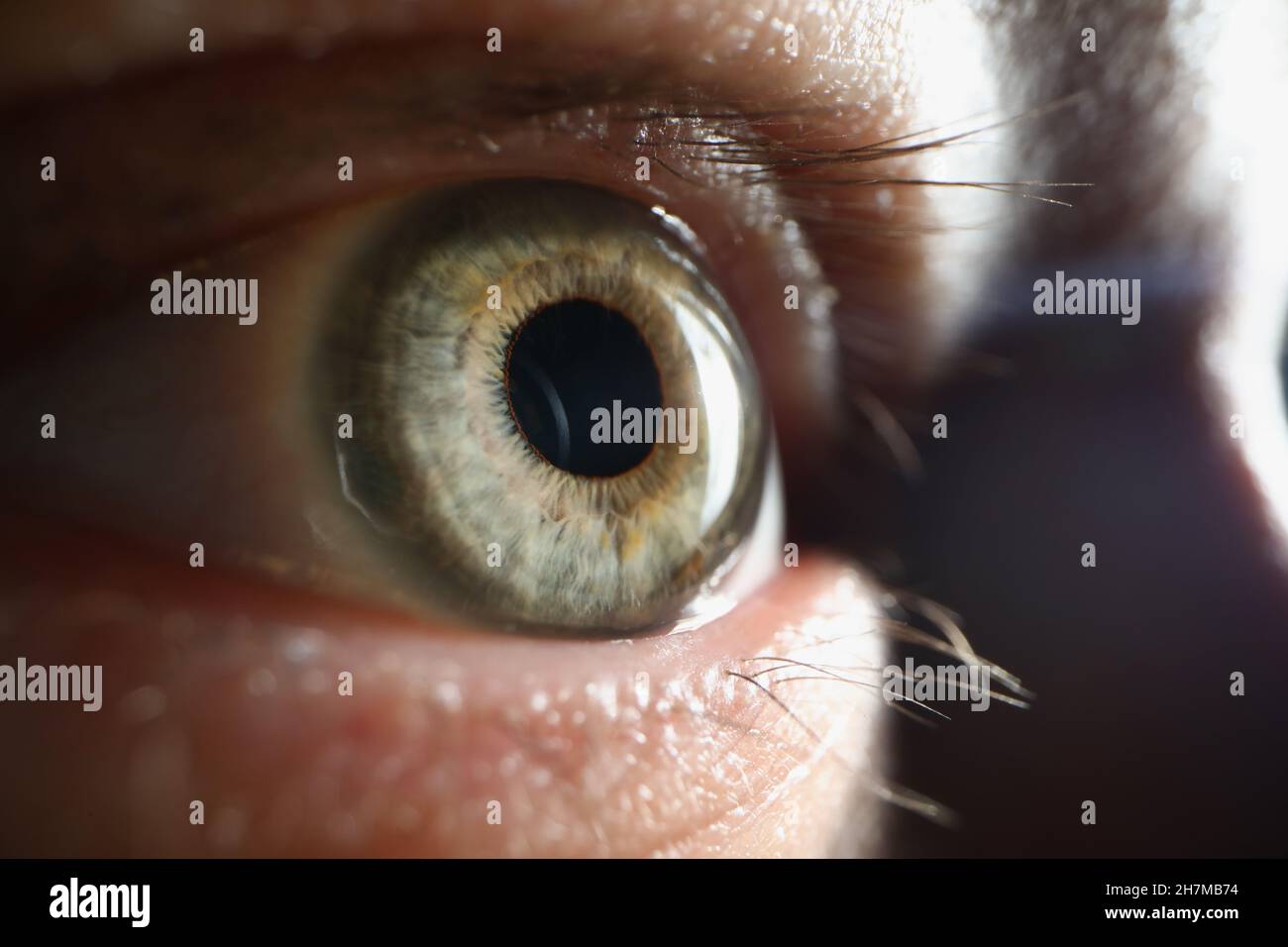 Human eye pupil change hi-res stock photography and images - Alamy