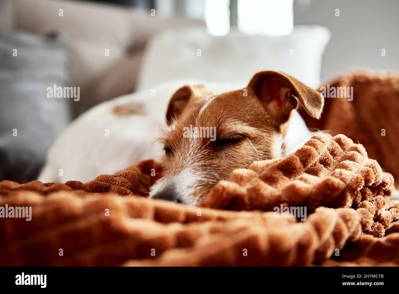Sleep couch hi-res stock photography and images - Alamy