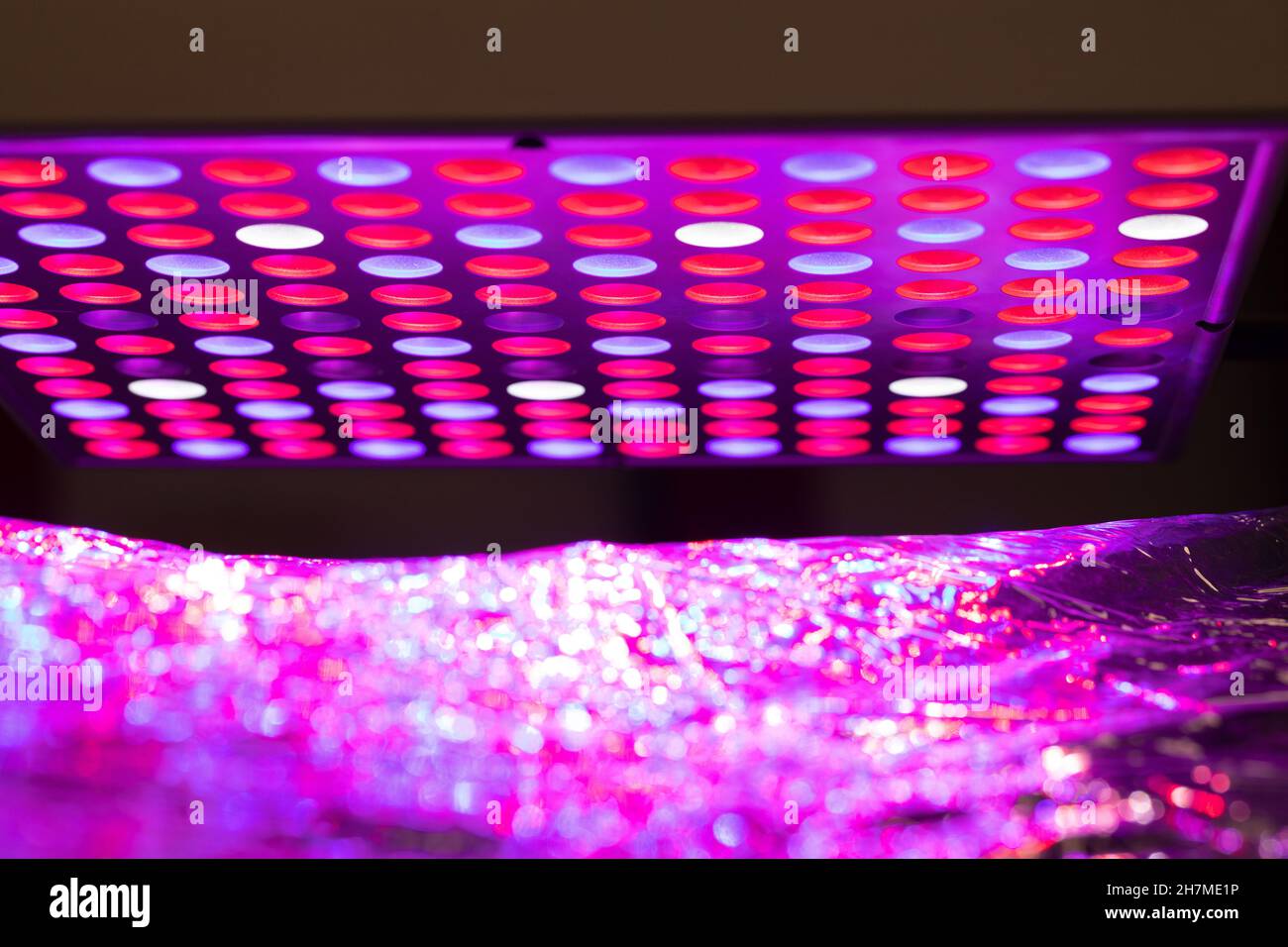 Led lit greenhouse hi-res stock photography and images - Alamy
