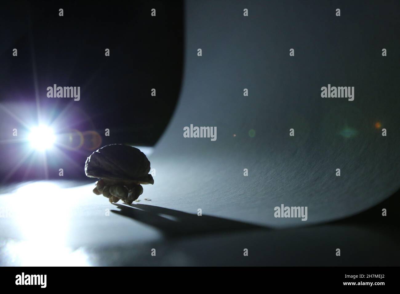 Wandering alone to destiny Stock Photo - Alamy