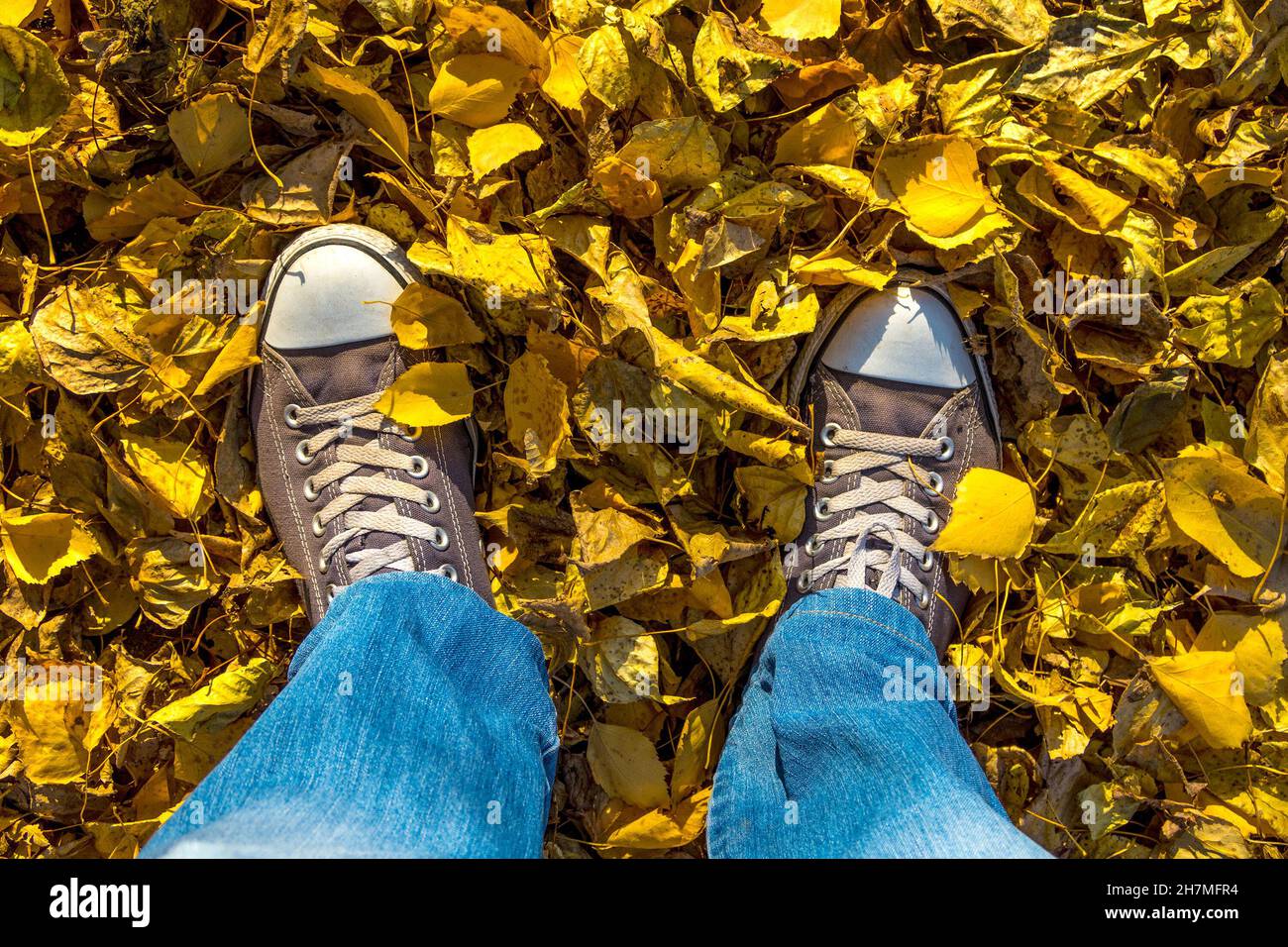 Person stand hi-res stock photography and images - Alamy