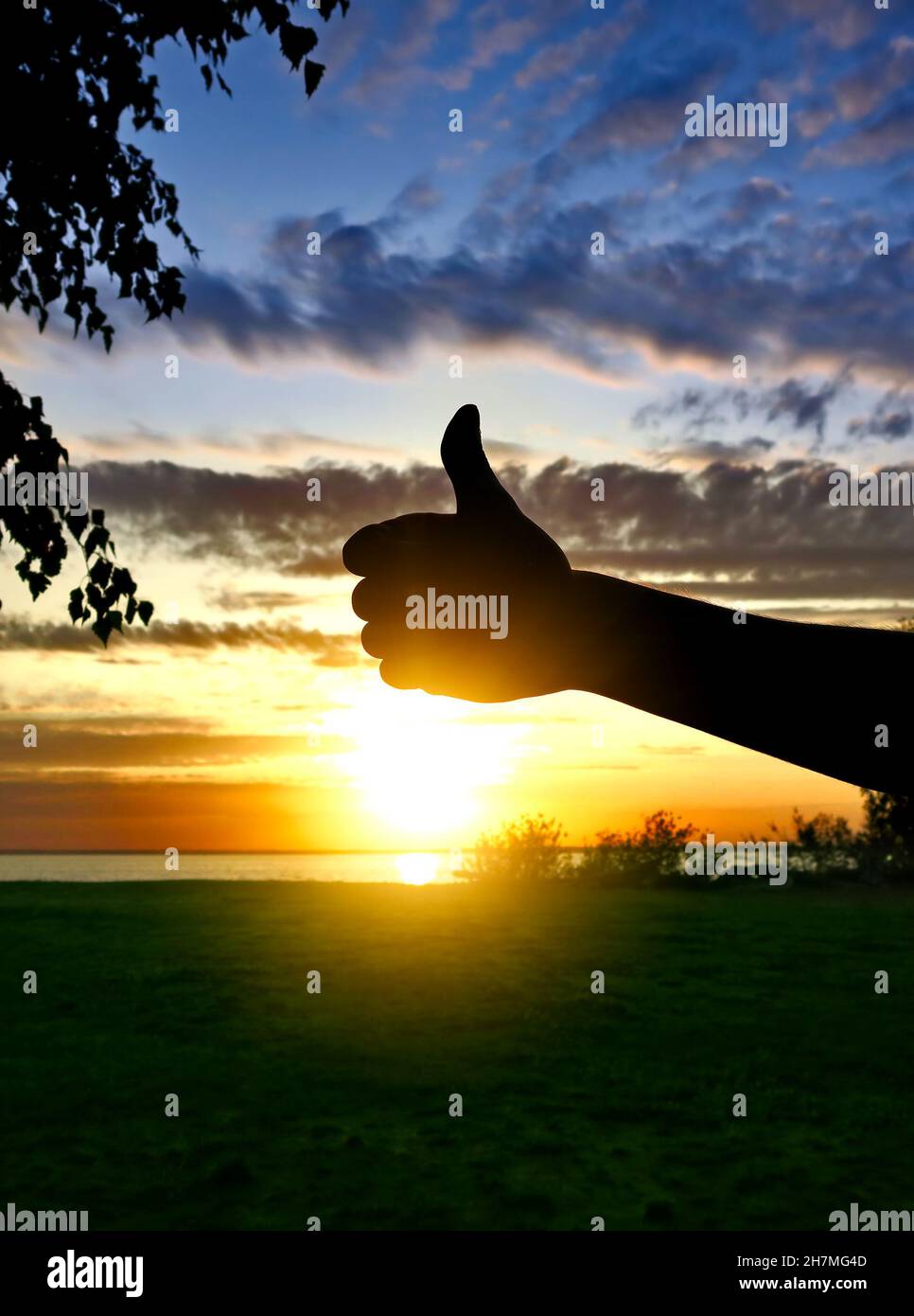 Thumb Up Silhouette on the Sunset Nature Background Stock Photo - Alamy