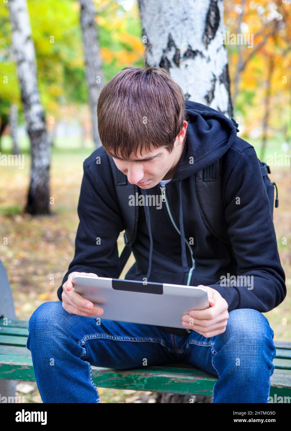 Stressed trees hi-res stock photography and images - Alamy