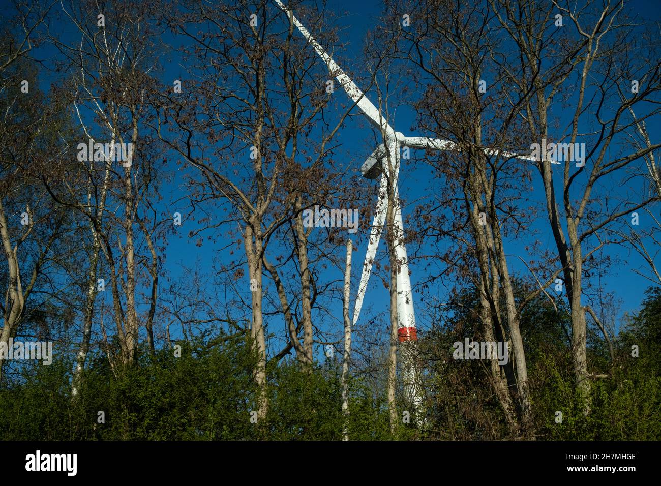 Belgium, Wallonia. Illustration of the Walloon region in Belgium ...