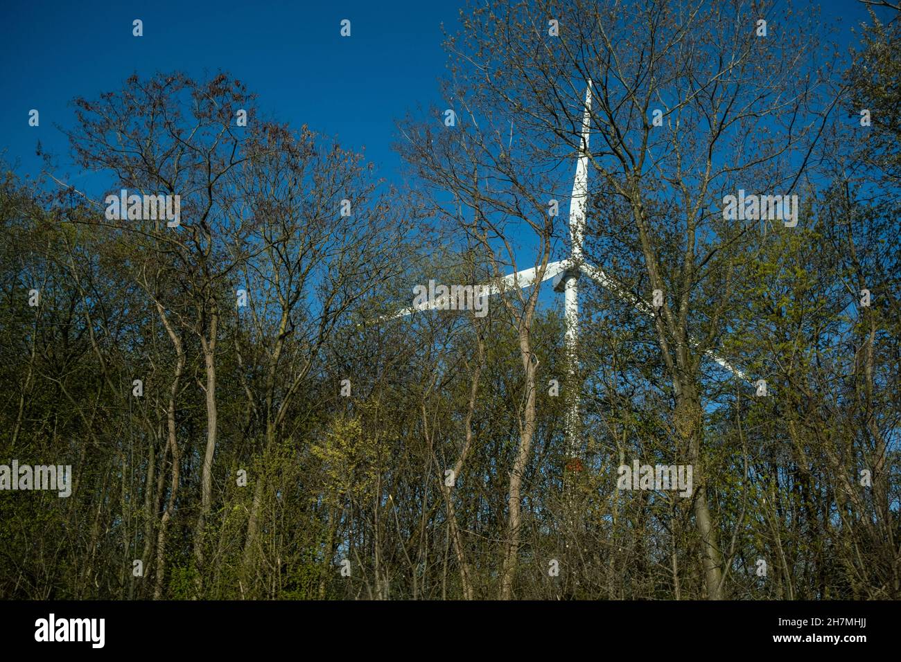 Belgium, Wallonia. Illustration of the Walloon region in Belgium ...