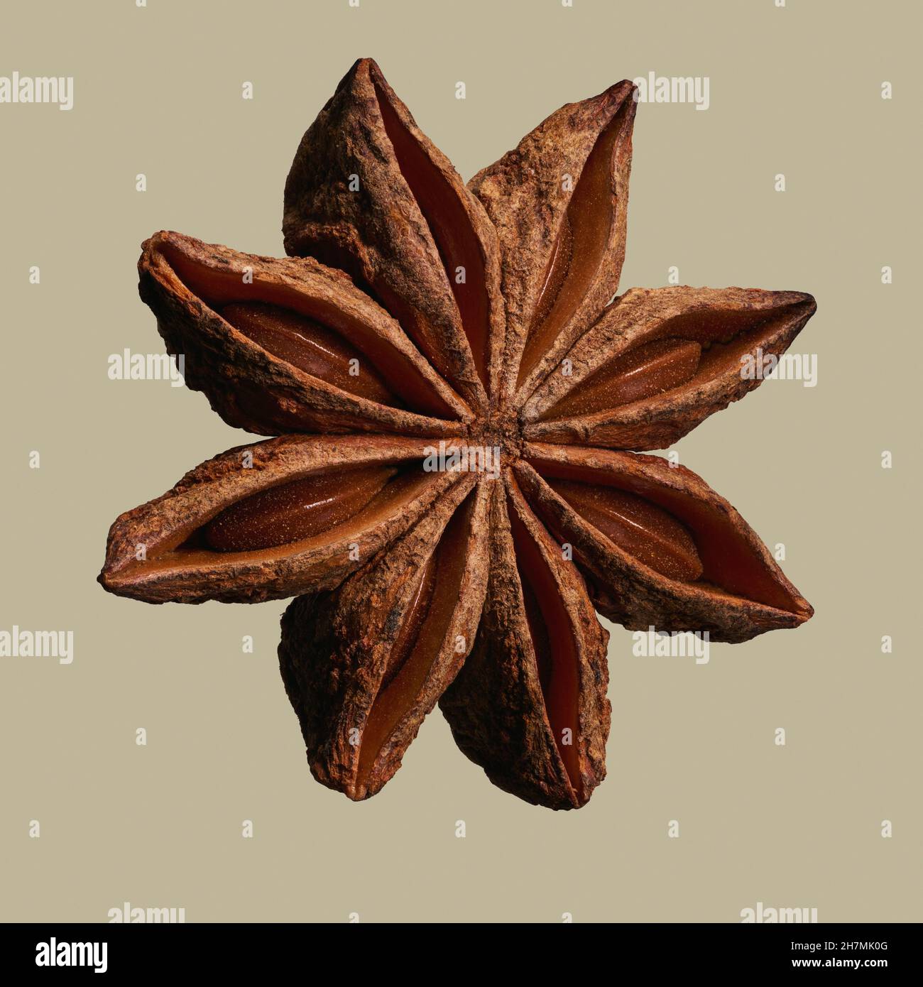Brown star hi-res stock photography and images - Alamy