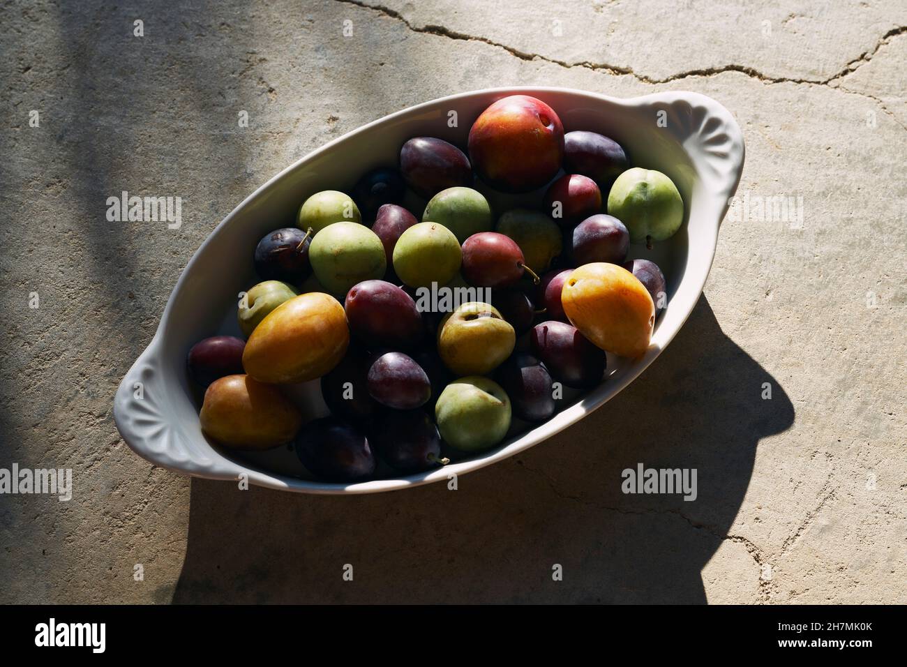 Martin plum hi-res stock photography and images - Alamy