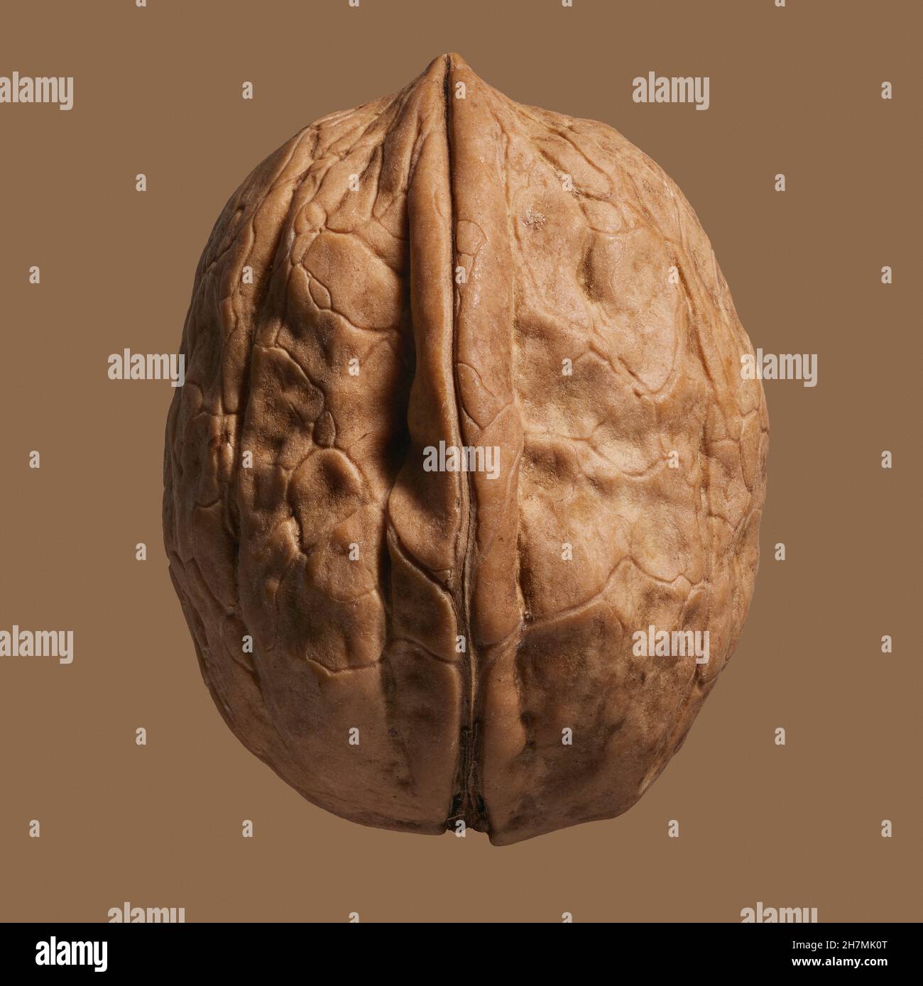 German walnut hi-res stock photography and images - Alamy