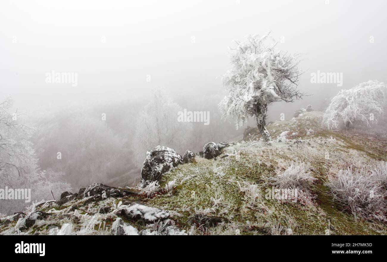 Hello winter hi-res stock photography and images - Alamy
