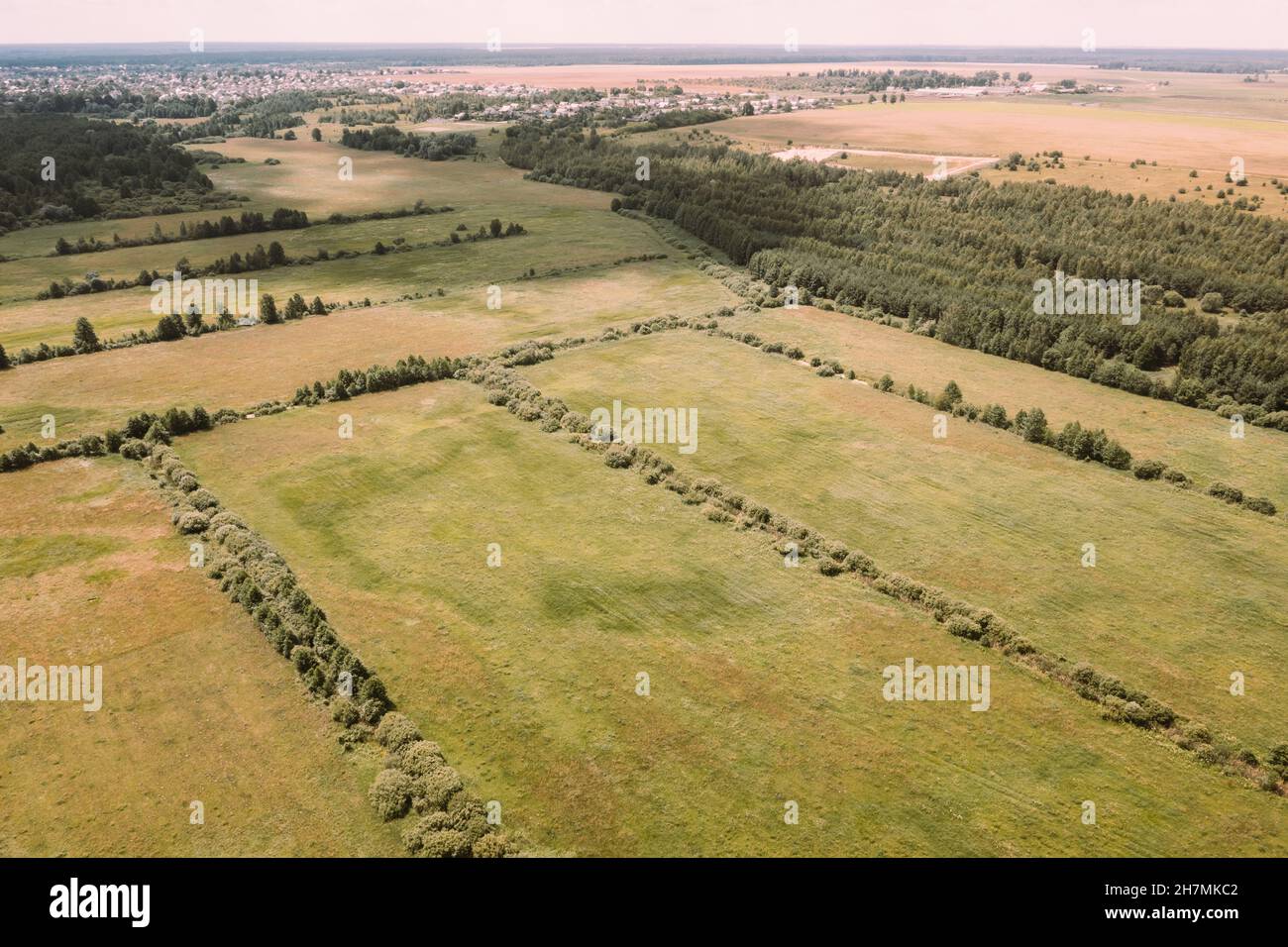 Aerial View Spring Green Field With Windbreaks Landscape. Top View Of ...