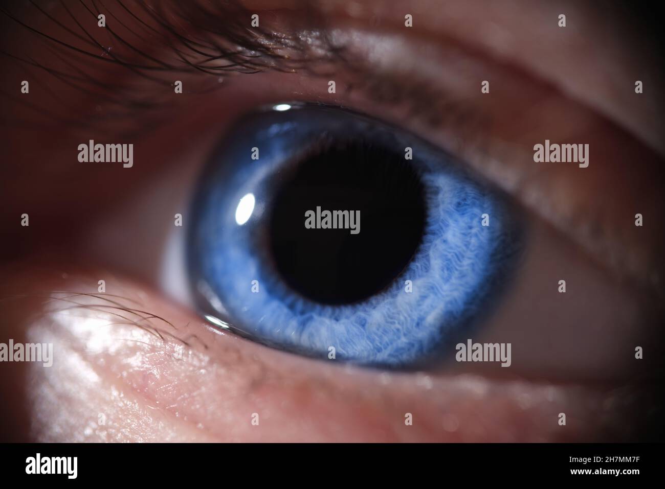 Closeup of beautiful bright blue human eye Stock Photo - Alamy
