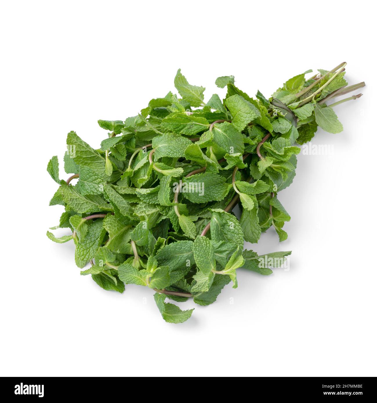Bunch of fresh green mint isolated on white background Stock Photo - Alamy