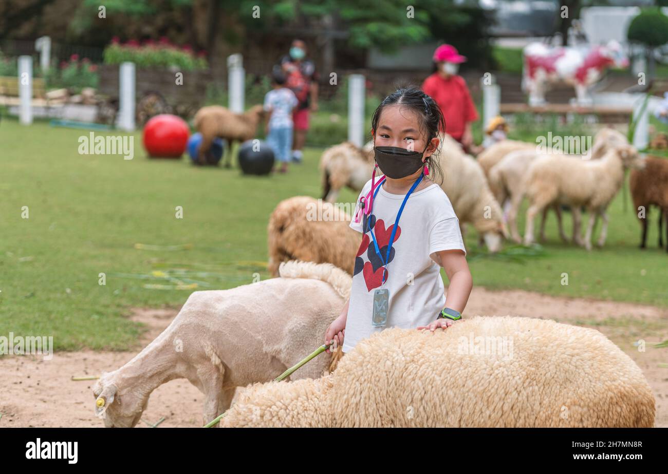 Portrait of Asian child girl in sheep farm, the girl wearing face mask ...