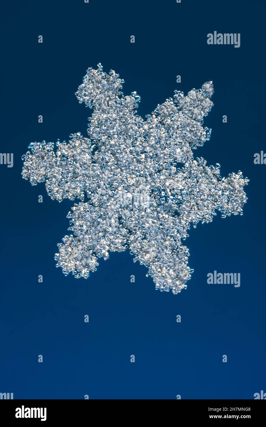 Real snowflake at high magnification. Macro photo of small snow bubbly ...