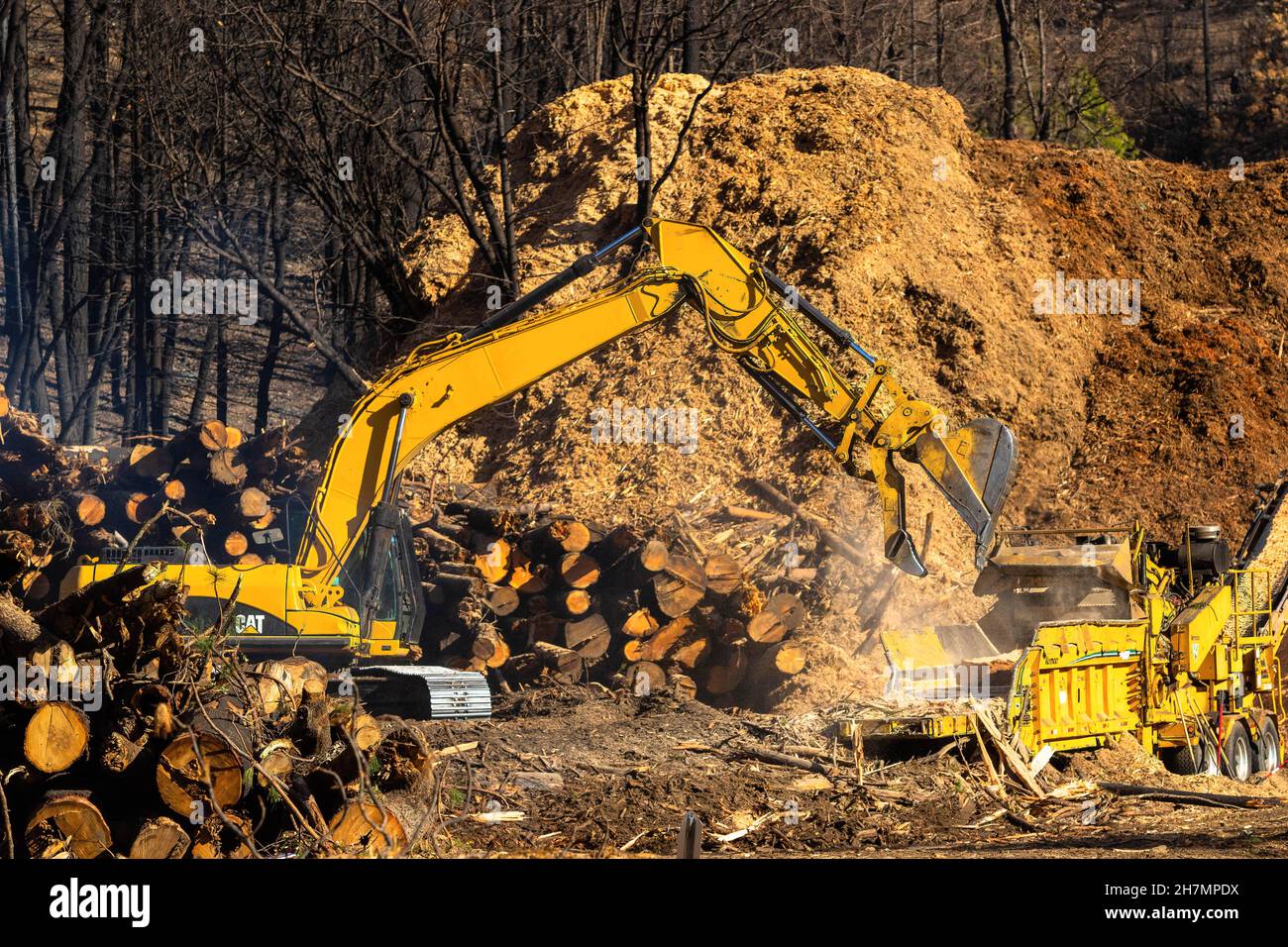 Dixie fire greenville hi-res stock photography and images - Alamy