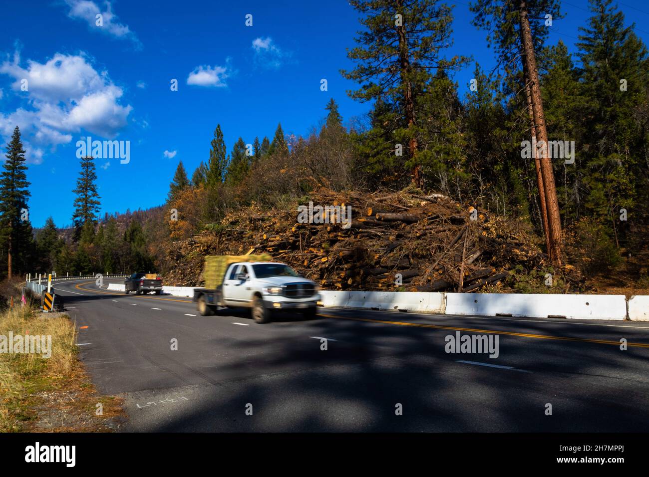 Cars drive by logs laying next to the highway after being felled. The ...