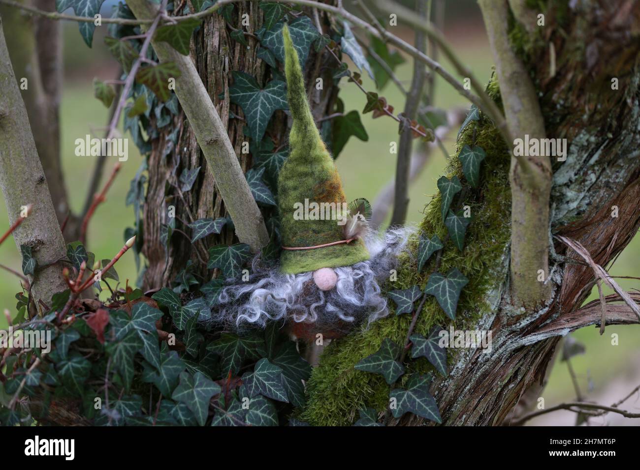 imp figure of felted wool outdoors on a tree with ivy Stock Photo - Alamy