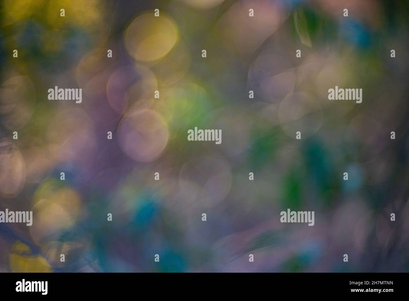 abstract background of blurred color spots Stock Photo - Alamy