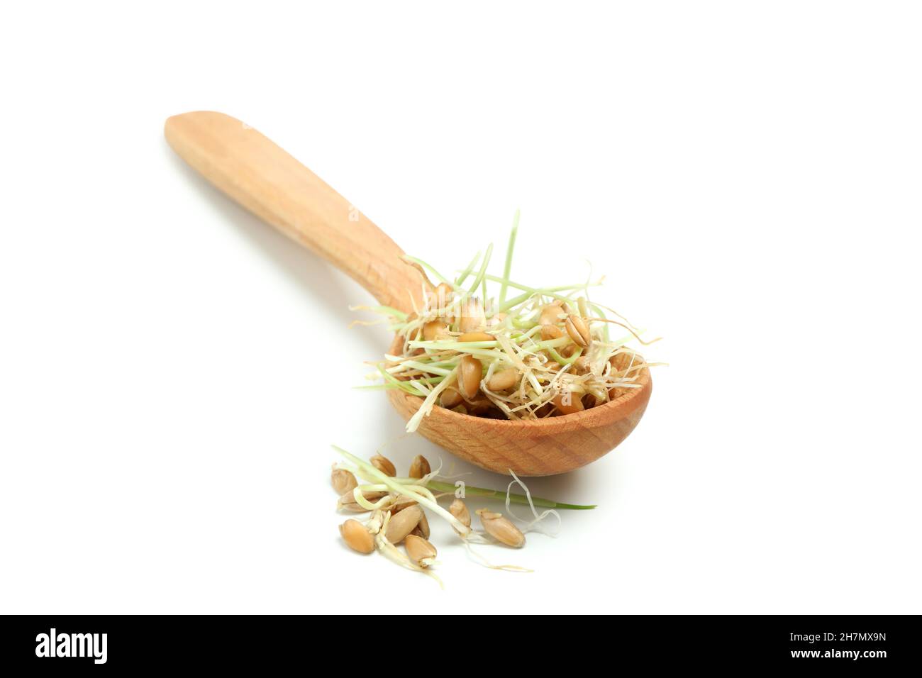 Spoon with sprouted wheat isolated on white background Stock Photo - Alamy