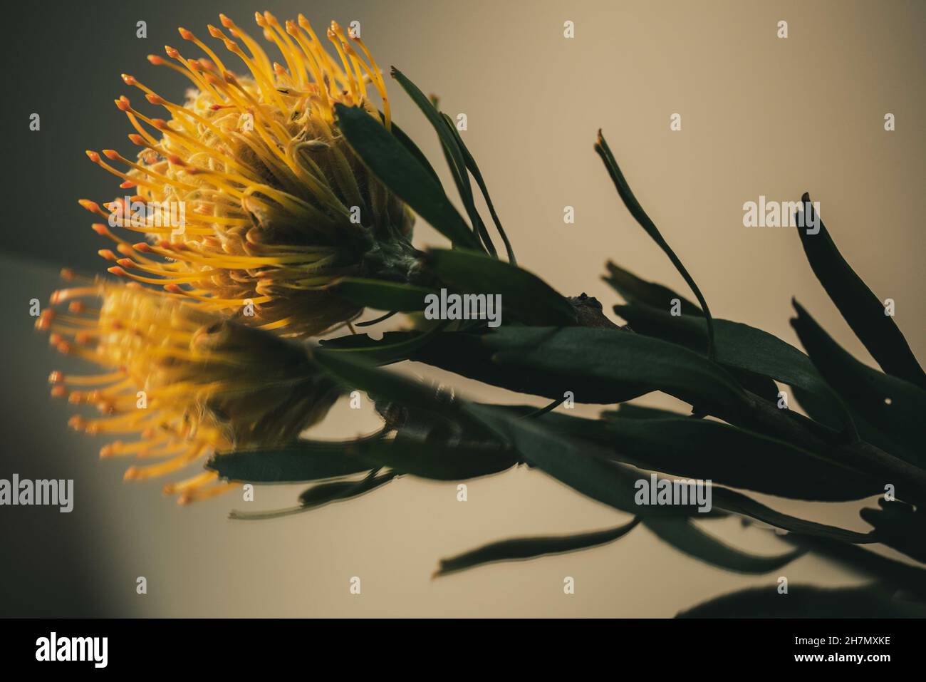 Uni colour hi-res stock photography and images - Alamy