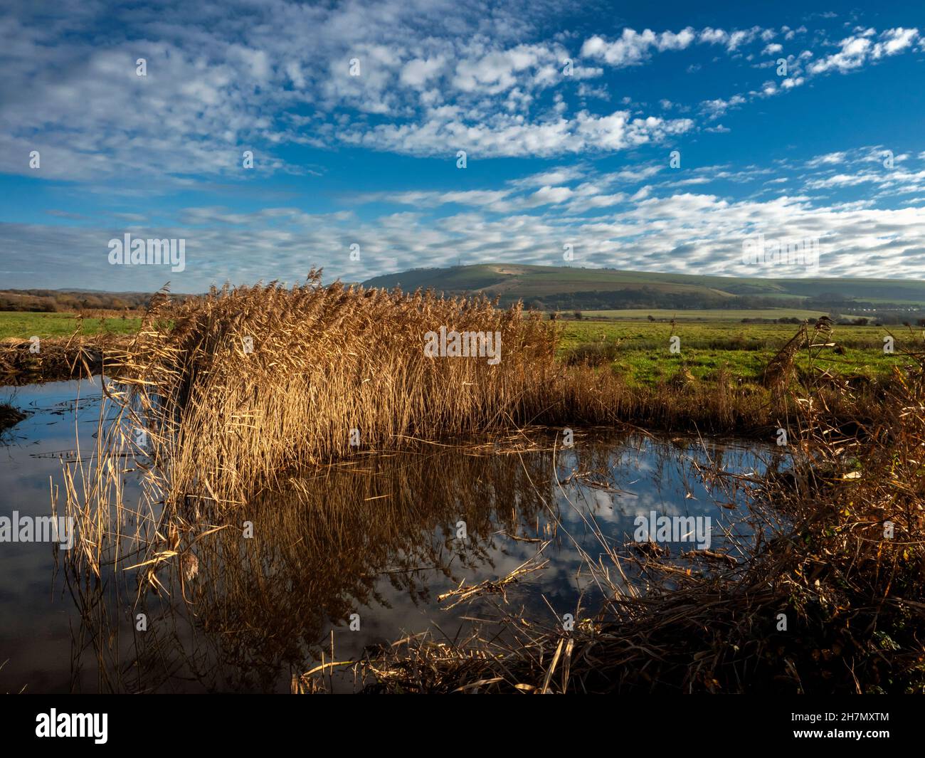 Adur valley wetlands towards Truleigh Hill on the South Downs, West ...