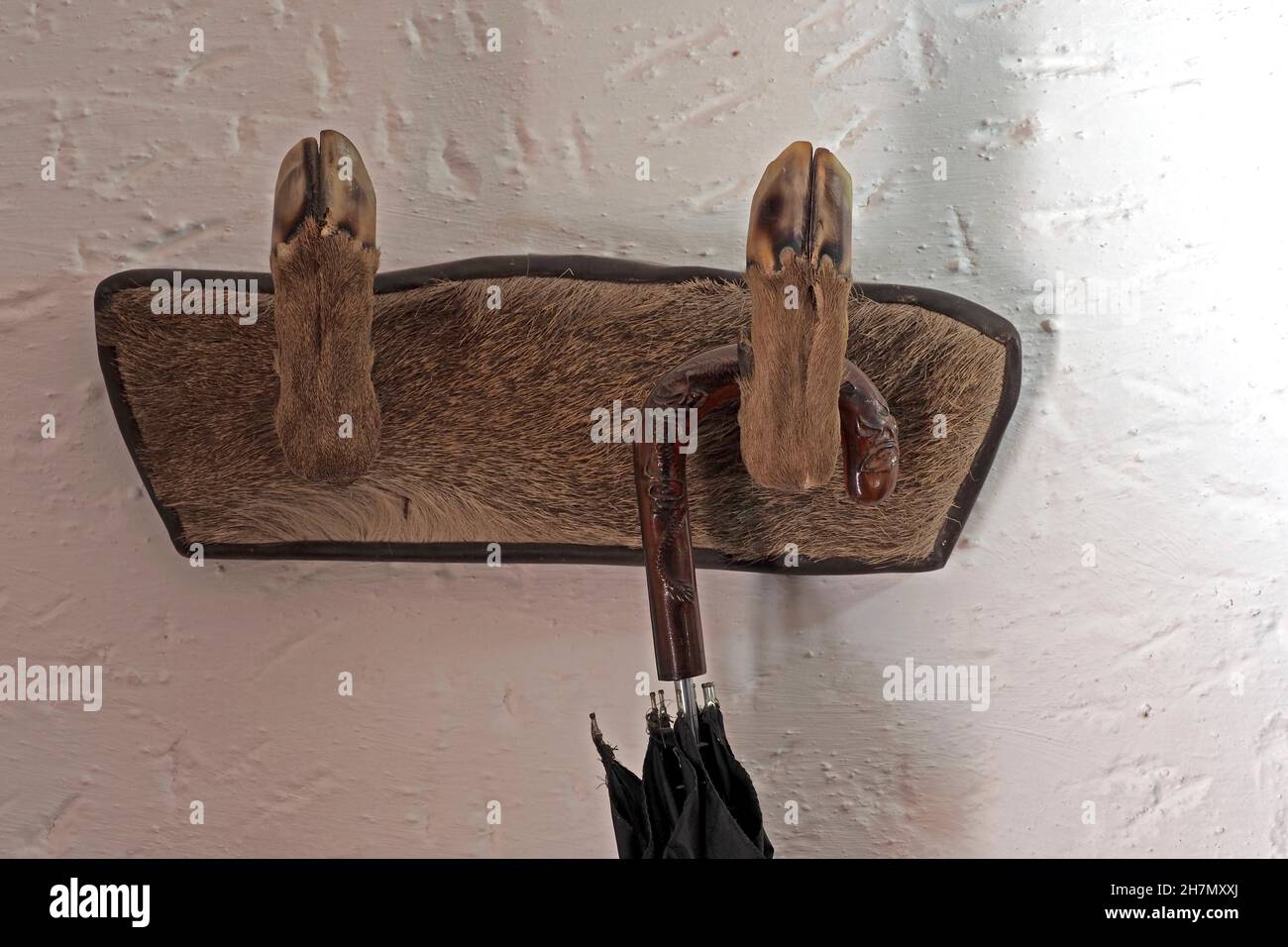 Wardrobe made from two wild boar hooves, wild boar skin, wild boar ...