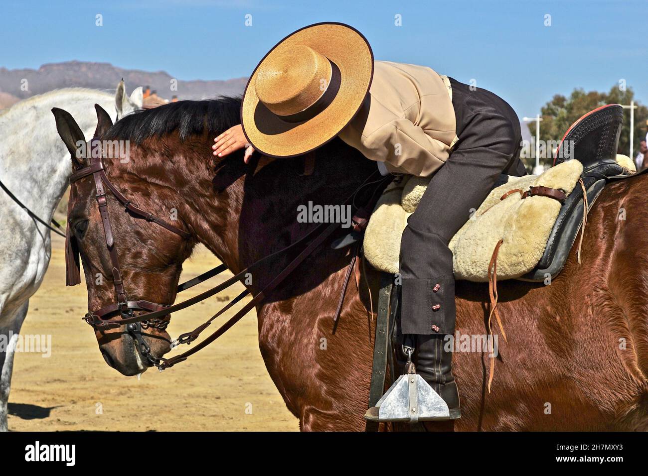 Spanish fiesta, horse tournament, young rider patting horse, feria in ...