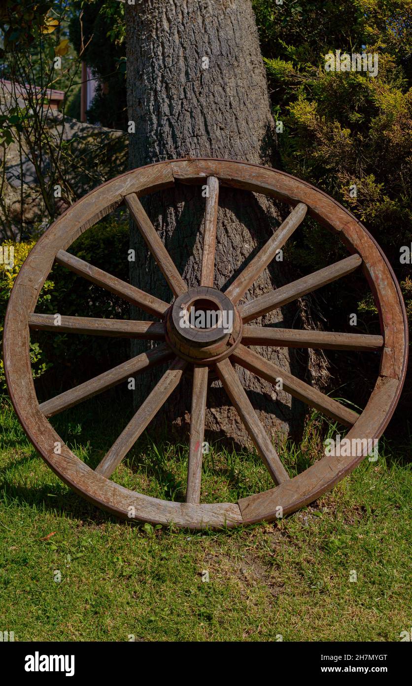 Old chariot wheel on a tree, classic garden Stock Photo - Alamy