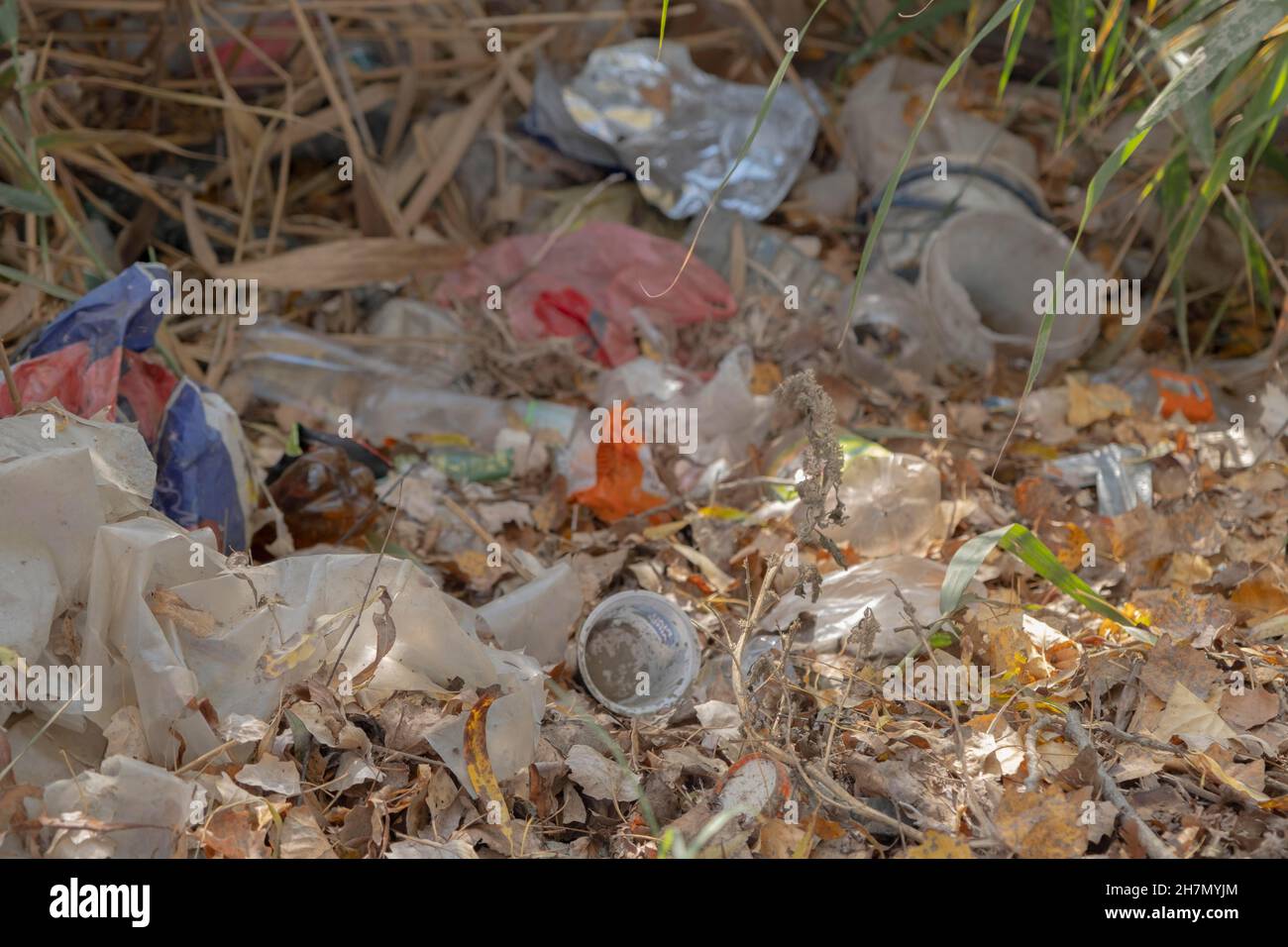 Discarded plastic bottles and other garbage in a meadow in the shore ...