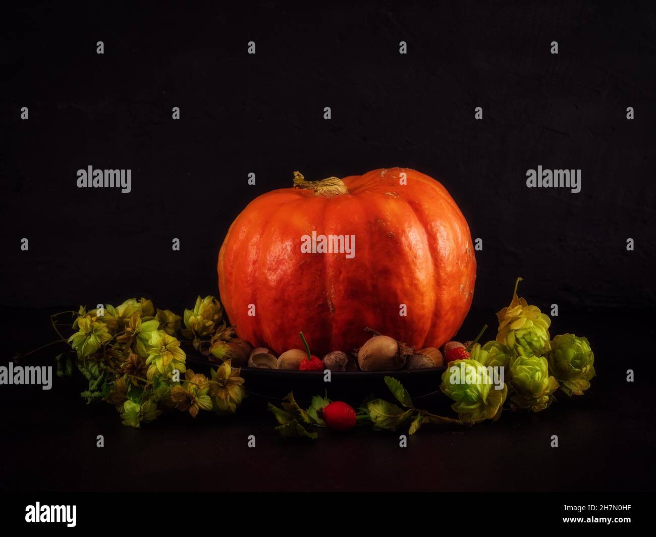 Still life with pumpkin, hop cone and autumn fruits Stock Photo - Alamy