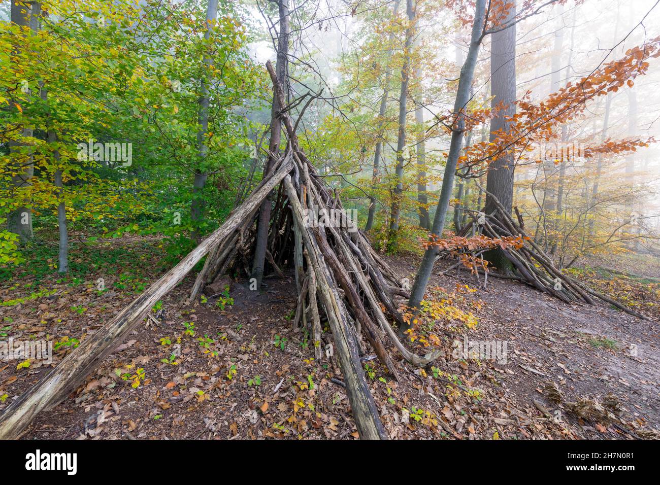 Tipi on the forest High Resolution Stock Photography and Images - Alamy
