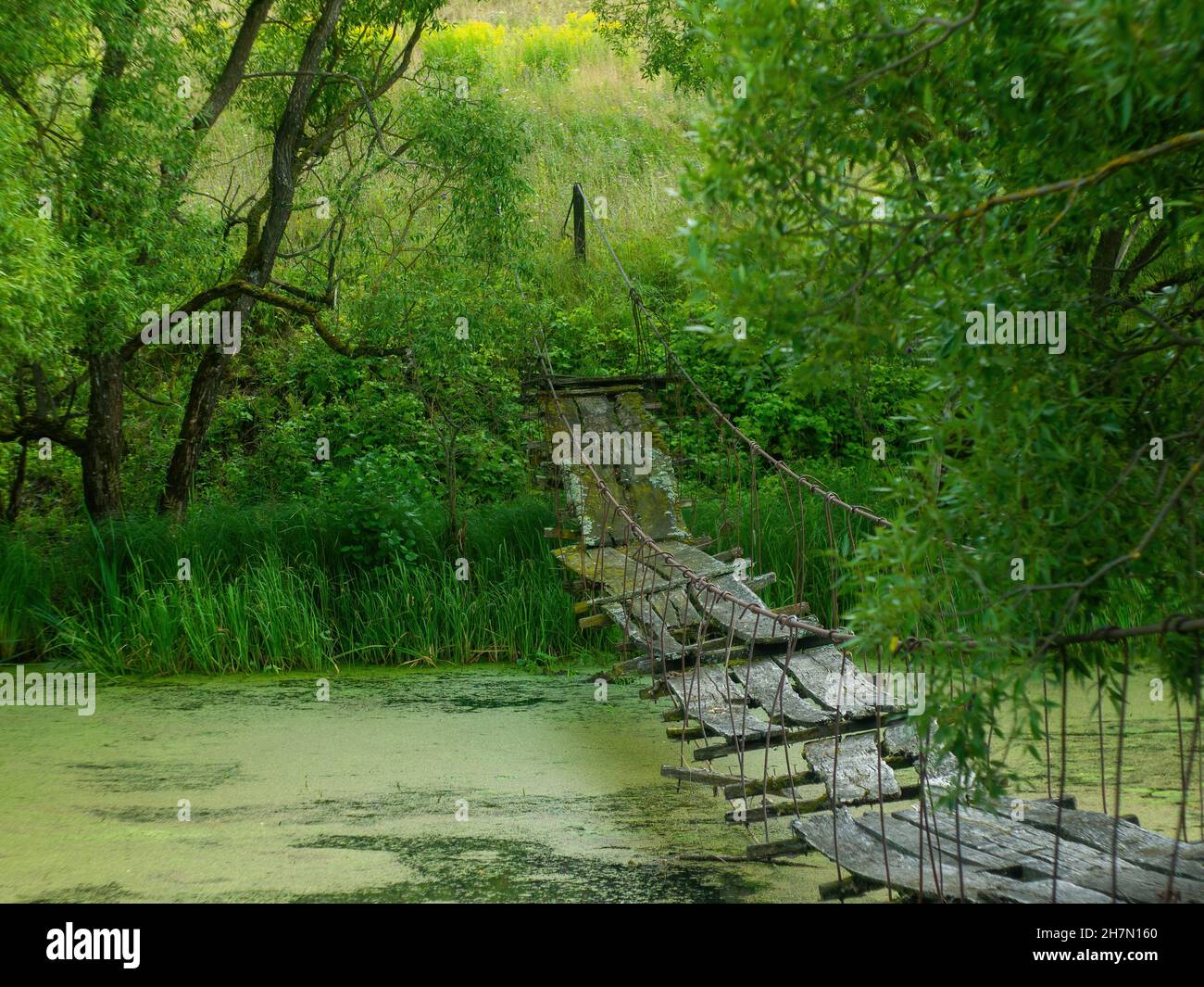 a collapsed wooden pedestrian bridge over the river, in summer Stock ...
