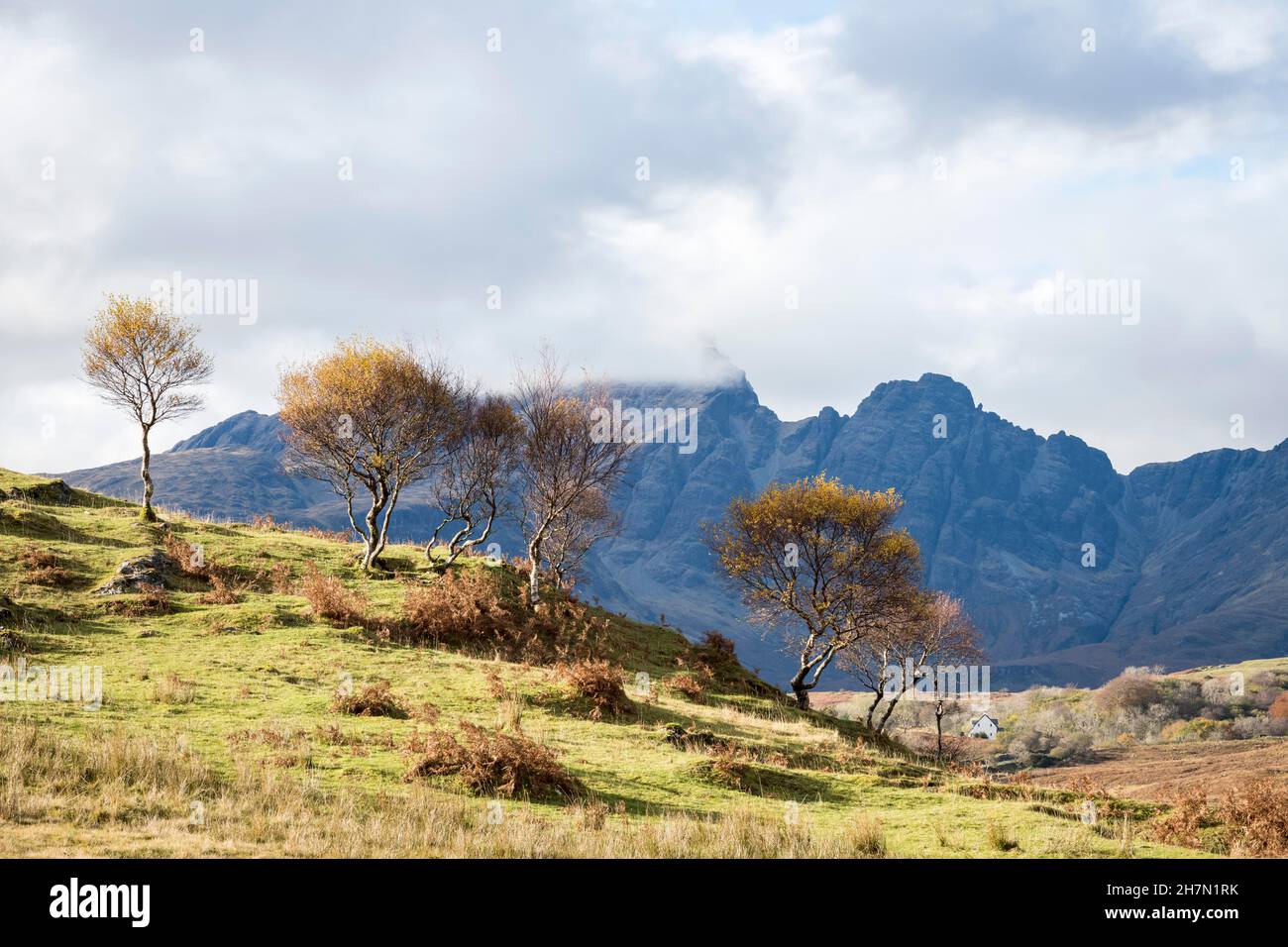 Trees and landscape, Elgol, Isle of Skye, Scotland, Isle Of Skye ...