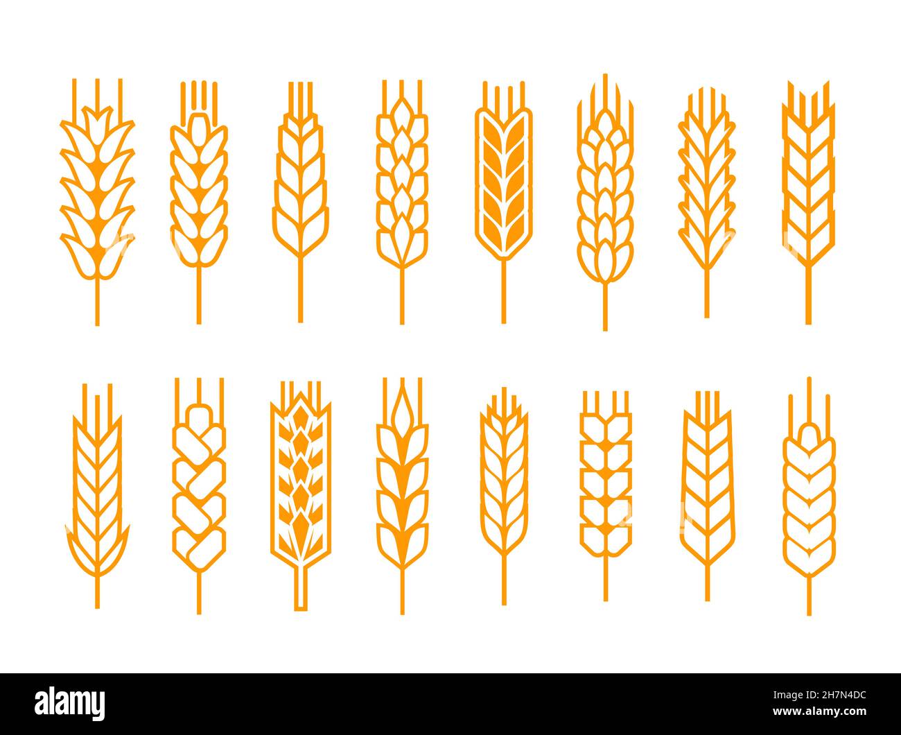 Cereal ear or spike outline icons. Wheat, rye, barley and millet vector ...