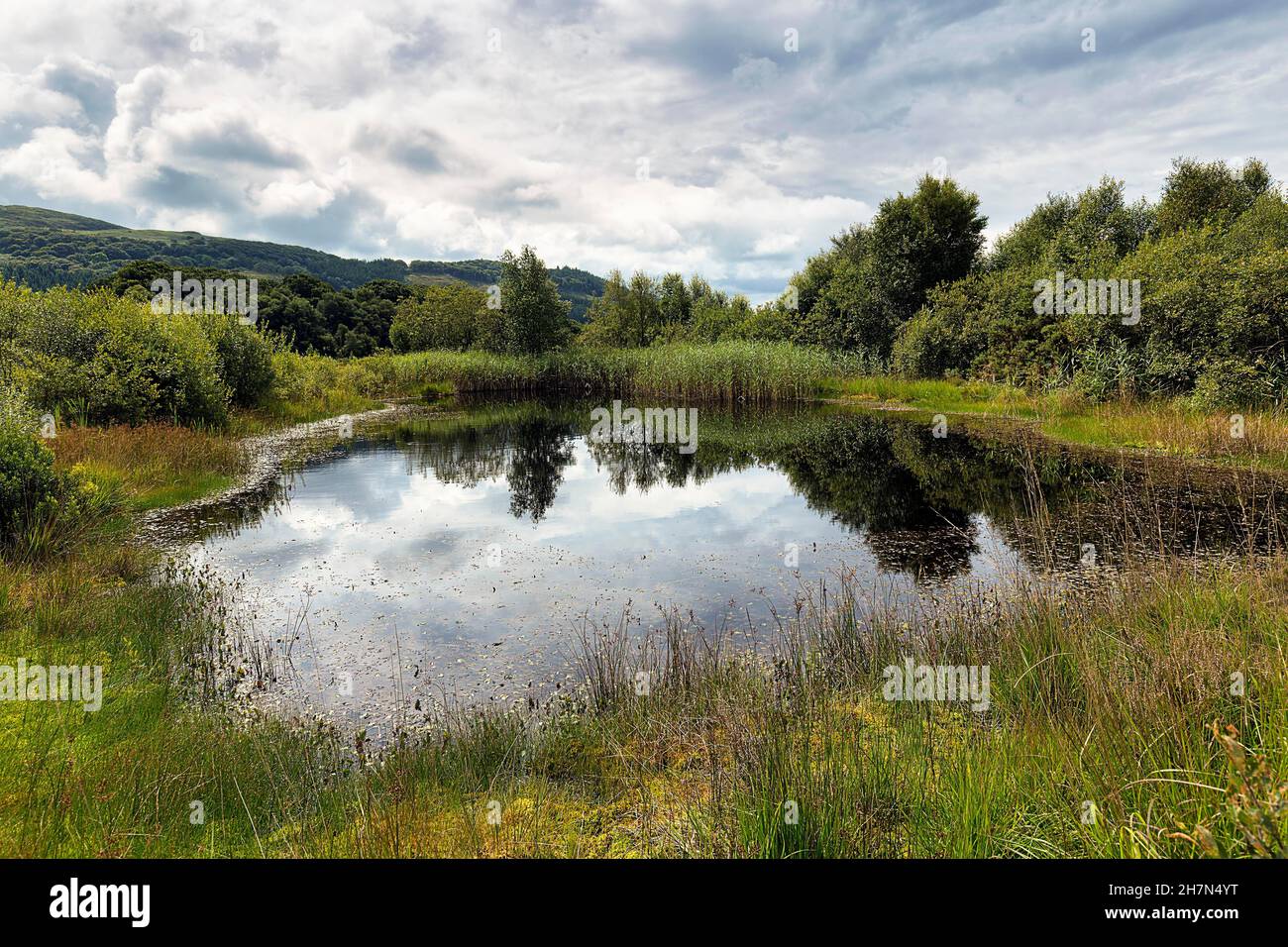 Pond in the UNESCO Dyfi Biosphere Reserve, Dyfi Wildlife Centre ...