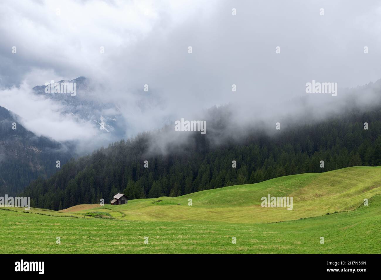 Rain green forest , rain season hi-res stock photography and images - Alamy