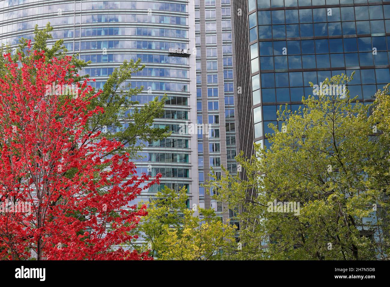 Architecture, facade of modern buildings, Montreal, Province of Quebec ...