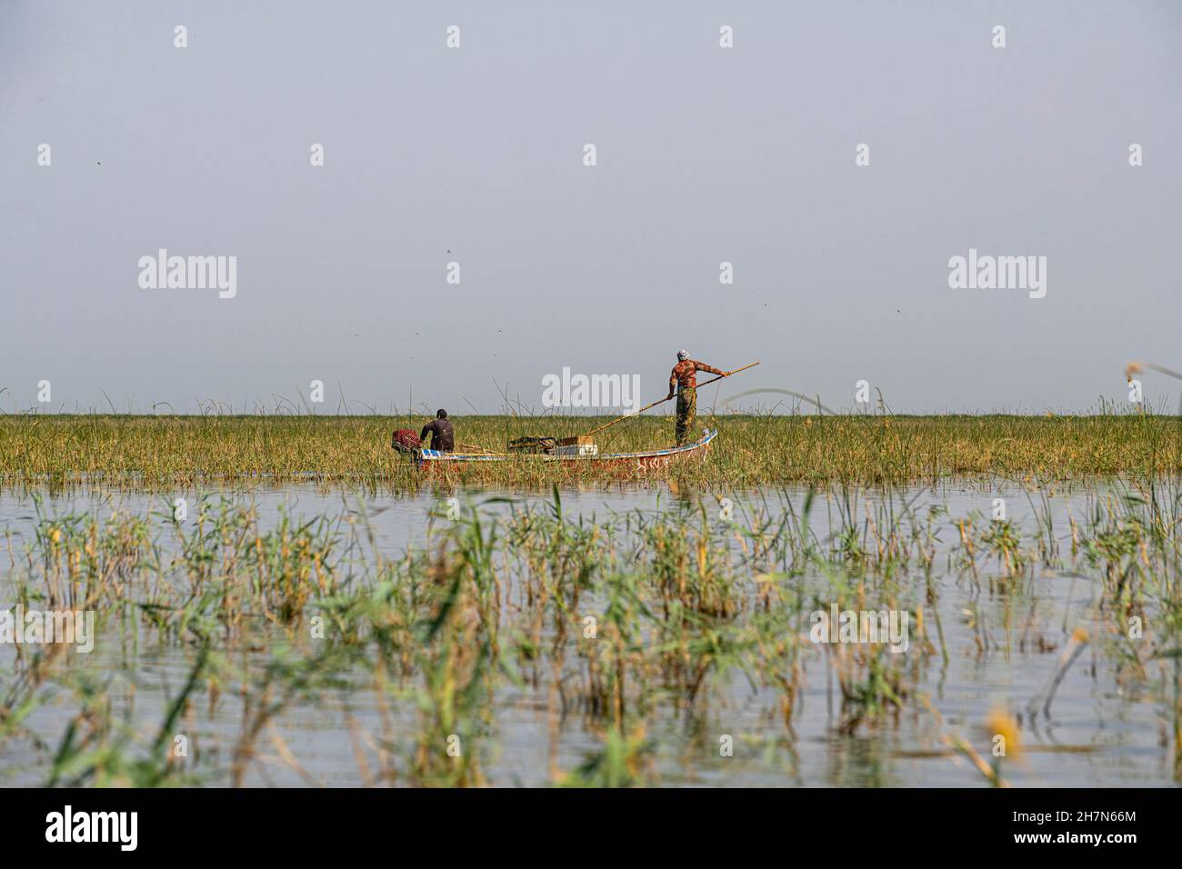 Little boat in the Mesopotamian Marshes, Ahwar of southern Iraq, Unesco ...