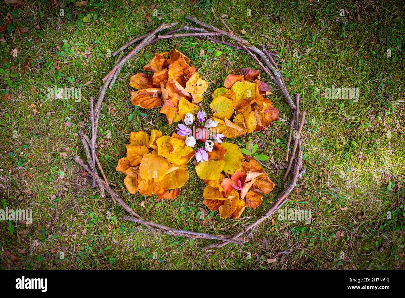 Fall foliage LandArt concept on grass Stock Photo - Alamy